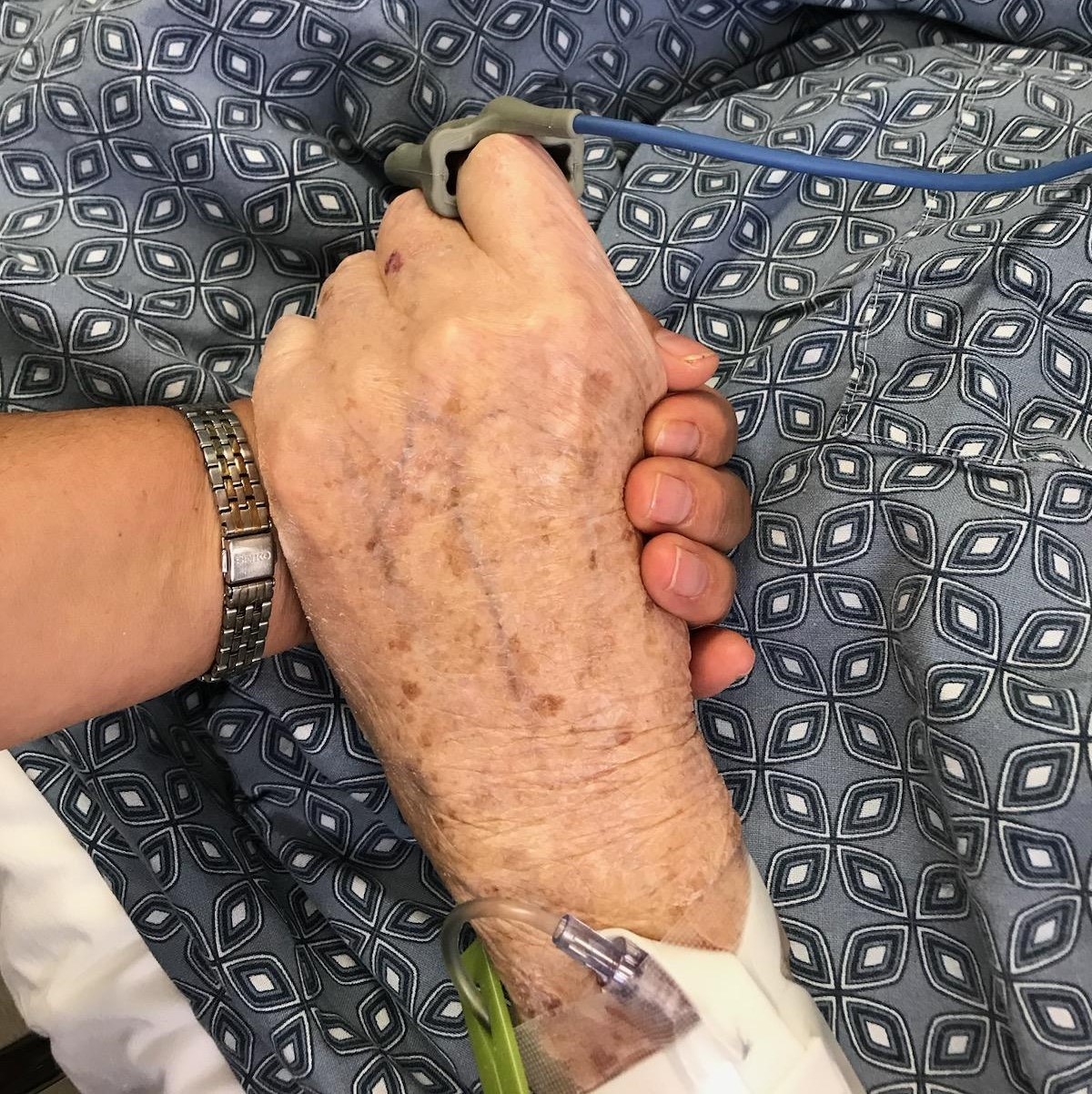 Lovely Promise Senior Services – My WordPress Blog